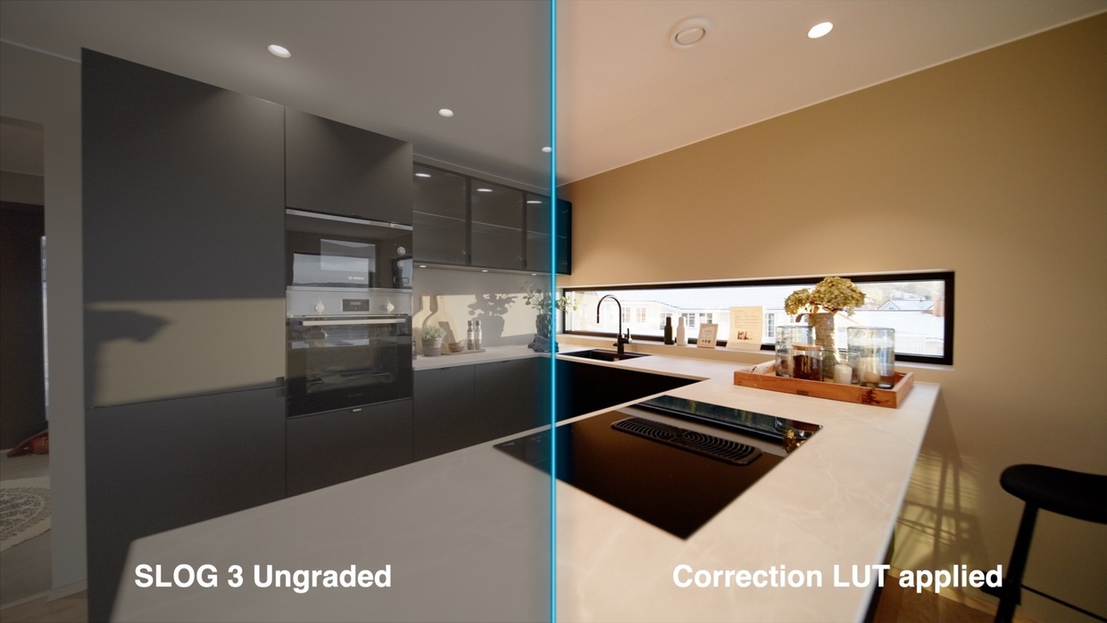 Sony SLOG 3 Correction LUT - huyrebel