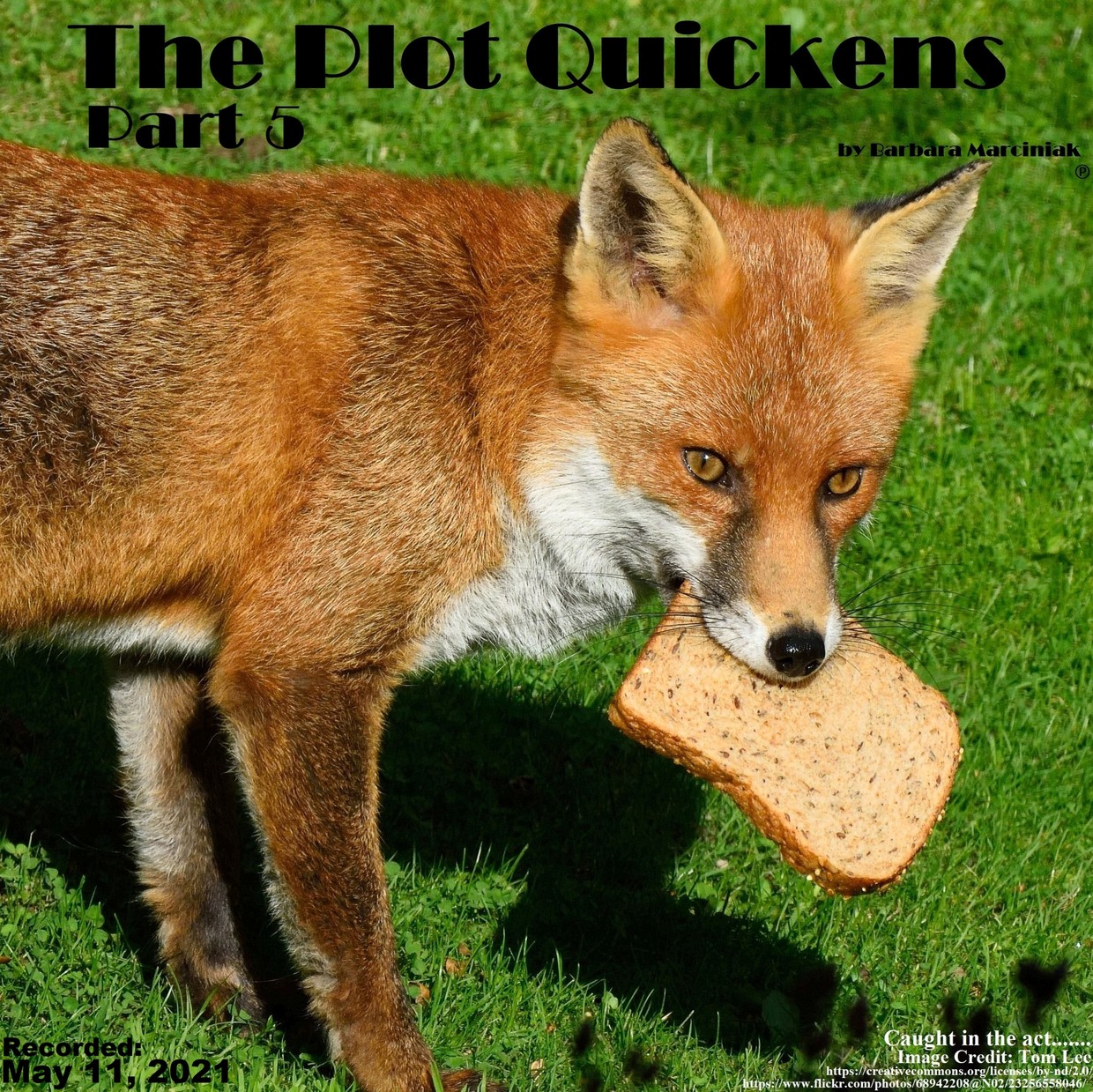 The Plot Quickens - Part 5 - Bold Connections Unlimited