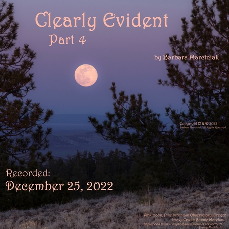 Bold Connections Unlimited