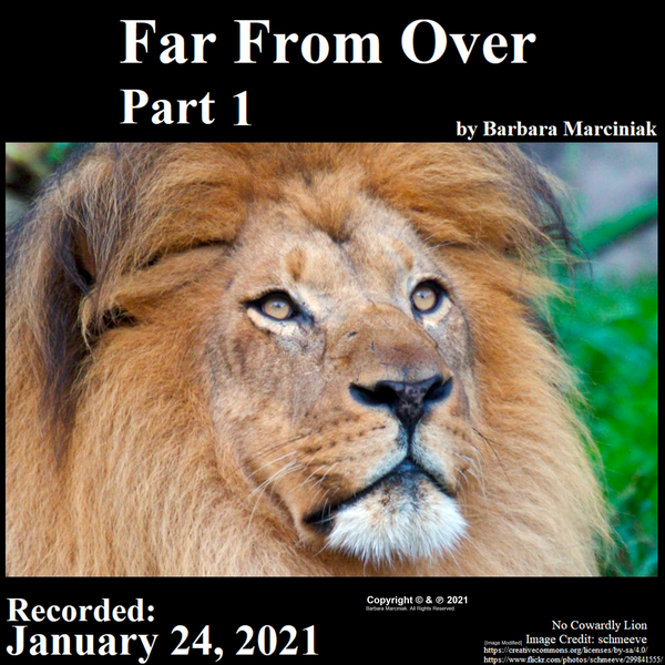 What's Real? - Part 2 - Bold Connections Unlimited