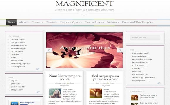 Magnificent Premium Version - SoraTemplates