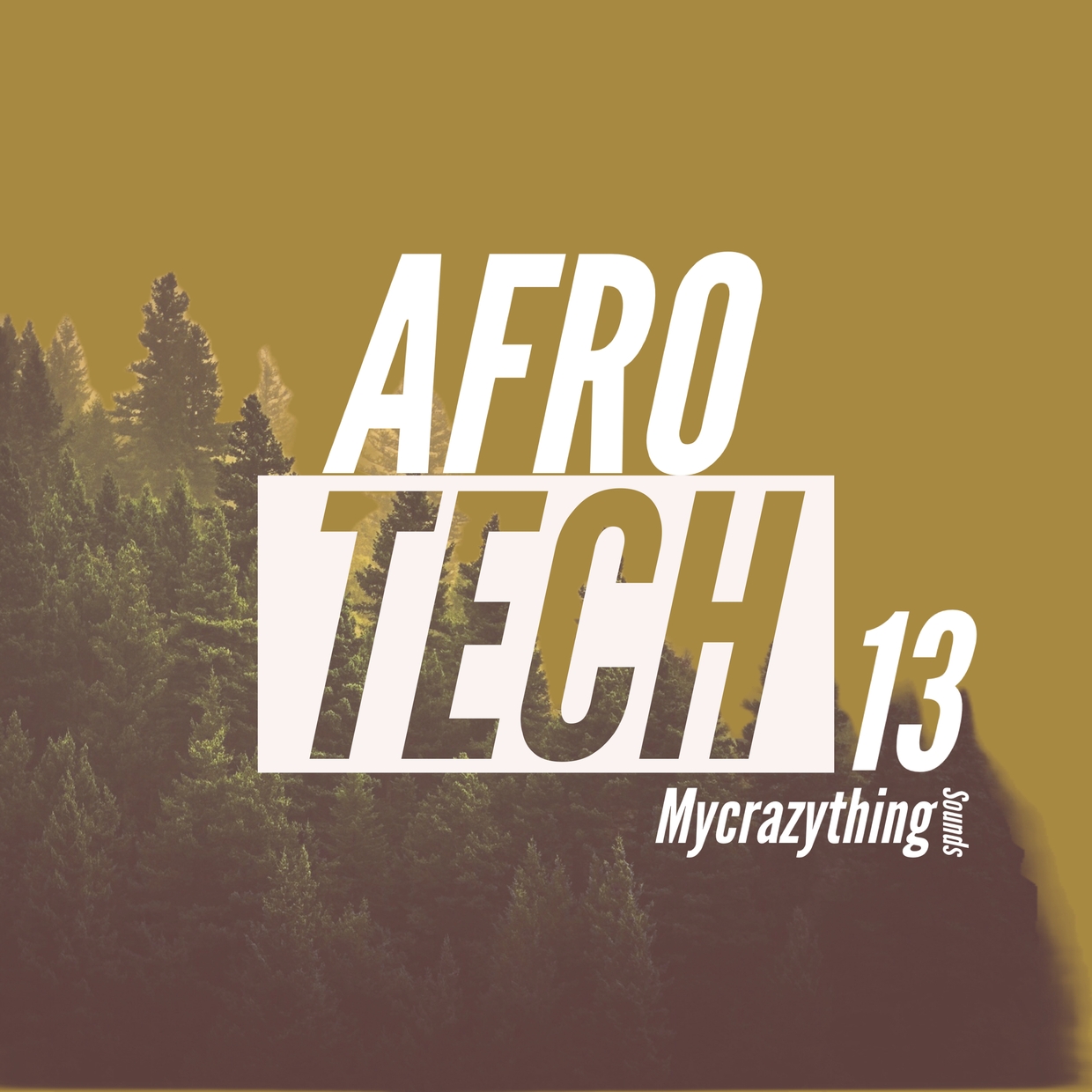Afro Tech 13 - Mycrazything