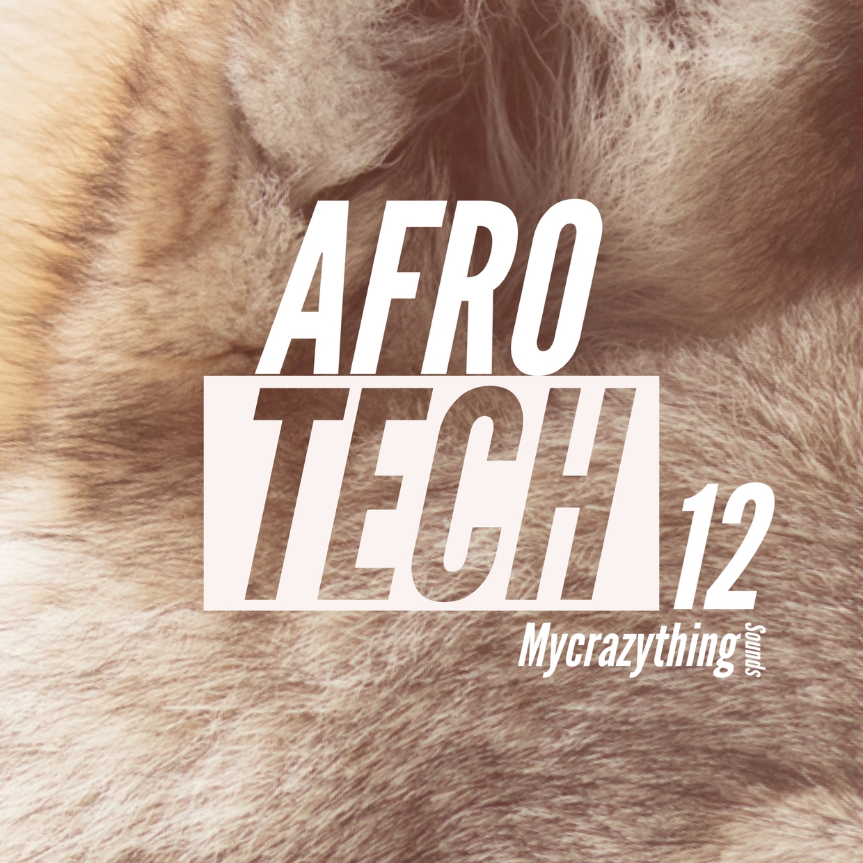 Afro Tech 12 - Mycrazything
