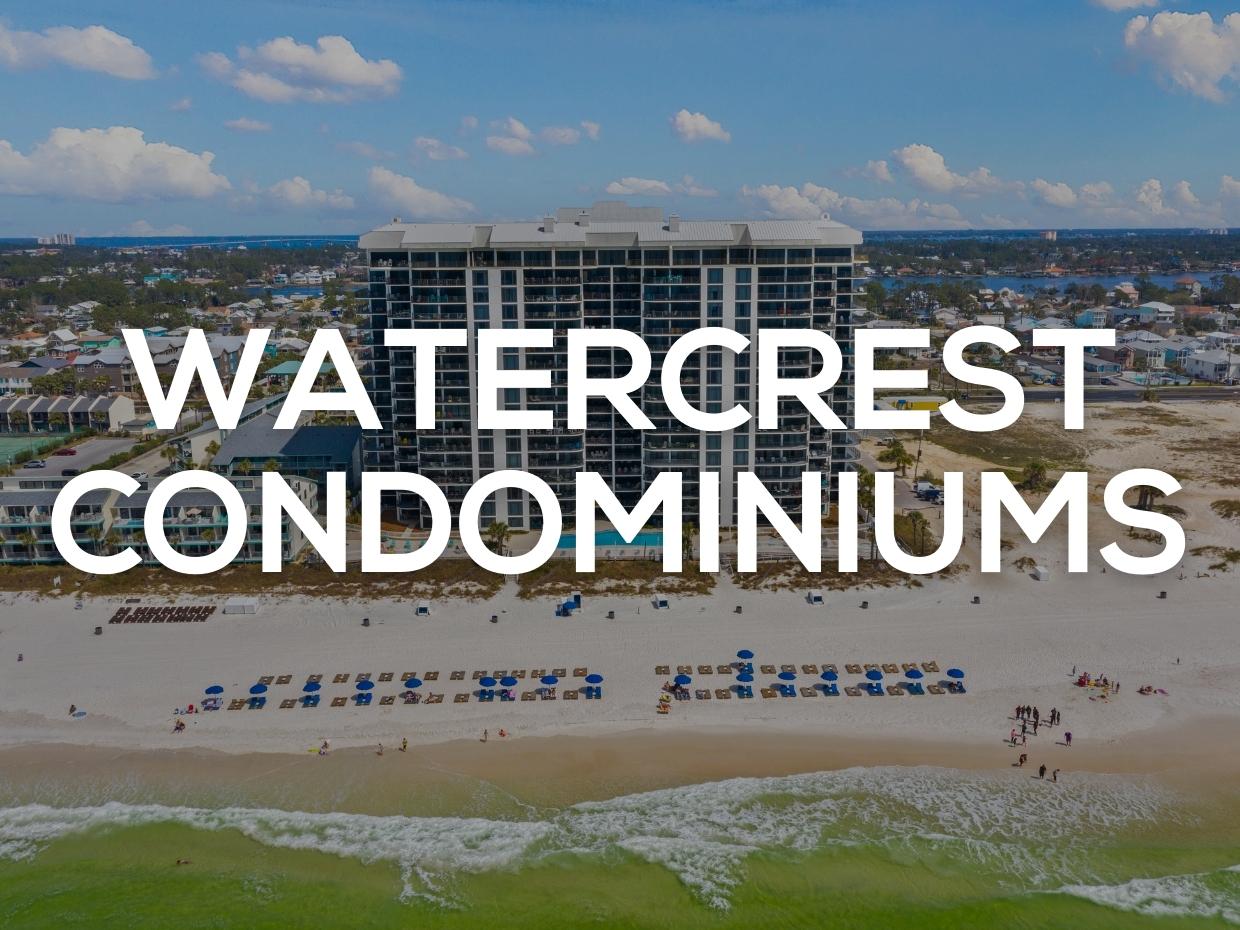 Wild Heron - Panhandle Stock Media