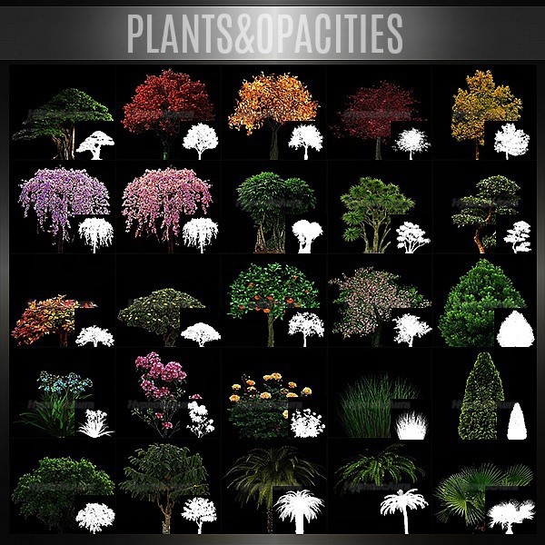 A~PLANTS&OPACITIES 120 TEXTURES - Jazziee2