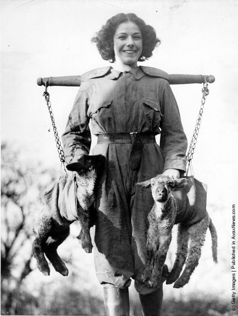 Goodnight Princess play script for 14 to 24 actors Wor - Freedrama