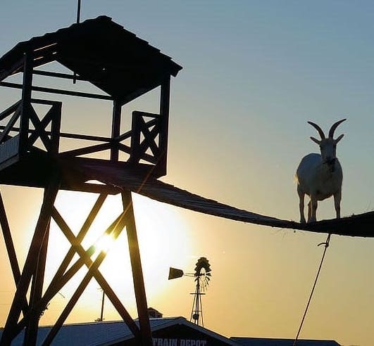 TROLLED BY THE GRUFFS short play script for kids with - Freedrama