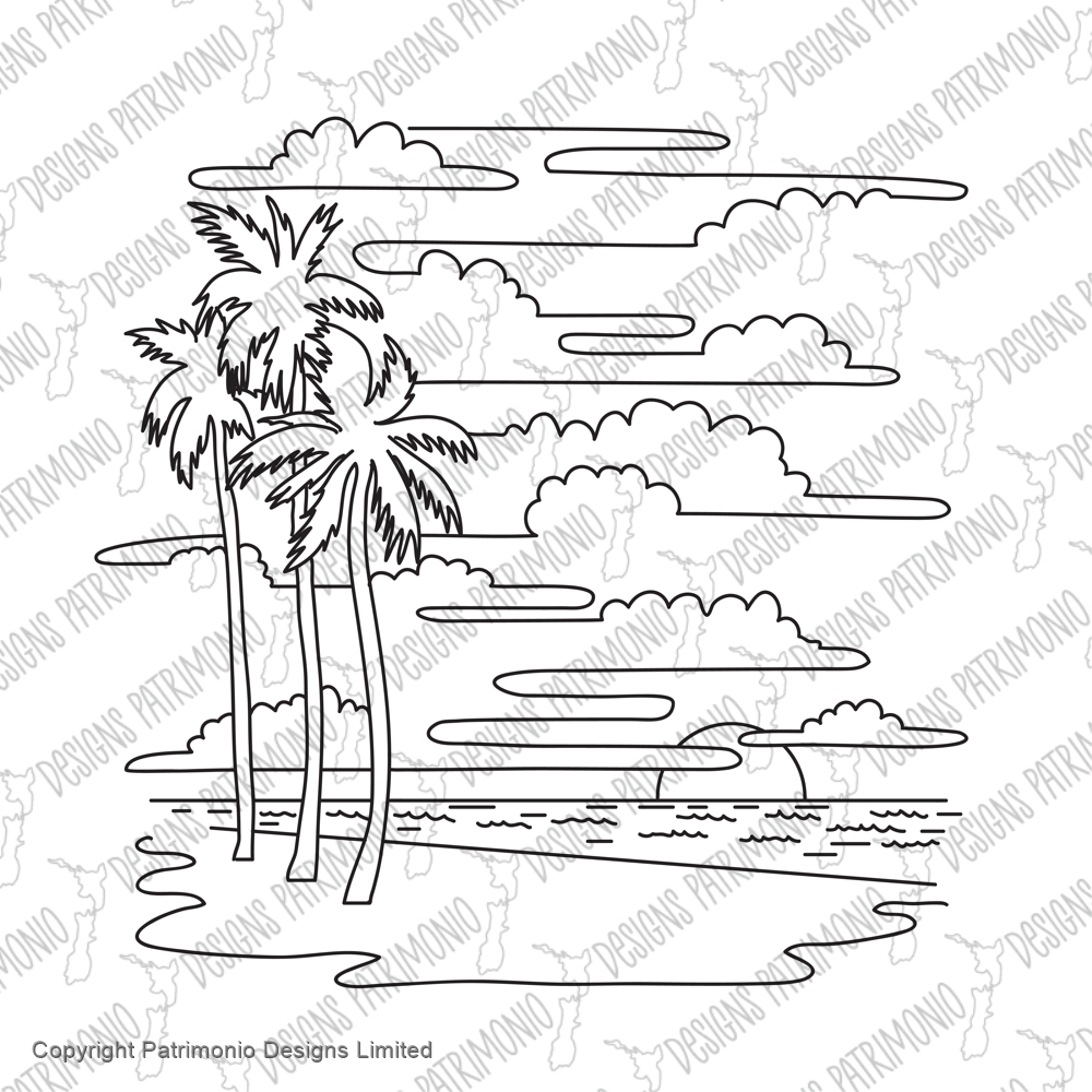 Palm Trees in Hollywood Beach in South Florida Mono Li - patrimonio