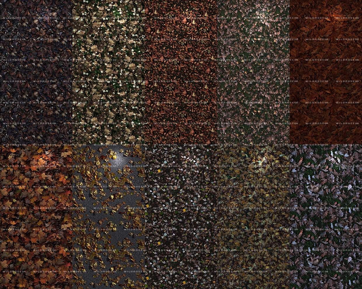 AUTUMN GROUND TEXTURES - WildRoseGr
