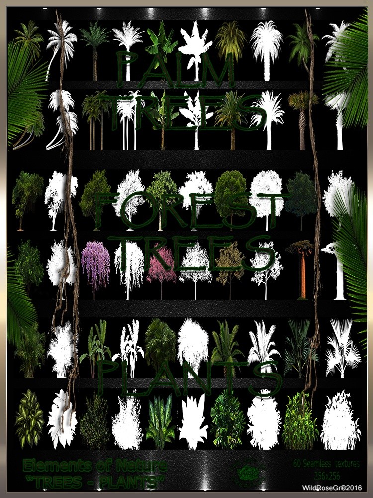 ~ ELEMENTS OF NATURE~ SUMMER EDITION [PALM TREES-FORES - WildRoseGr