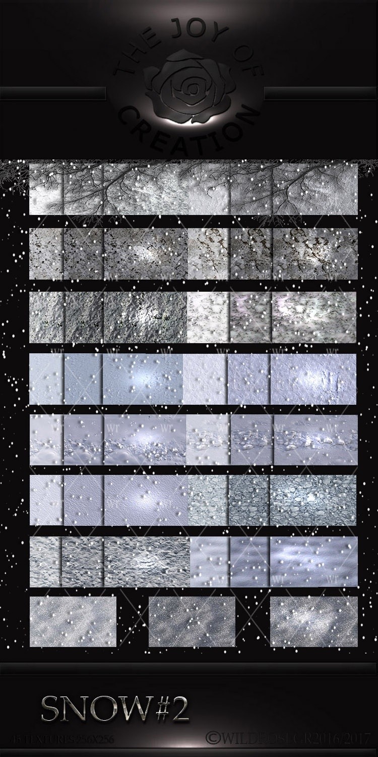 WINTER TIME " SNOW #2" - WildRoseGr