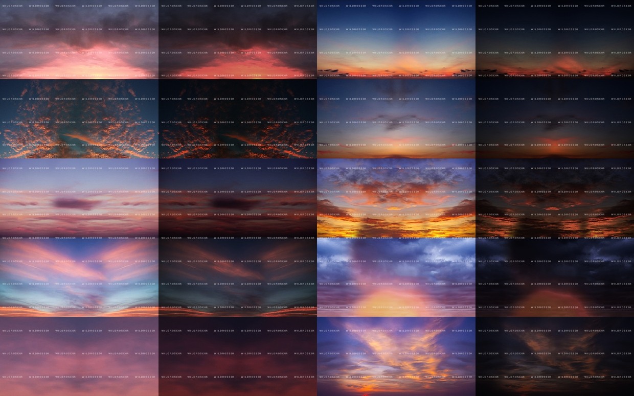 AUTUMN SKY - WildRoseGr