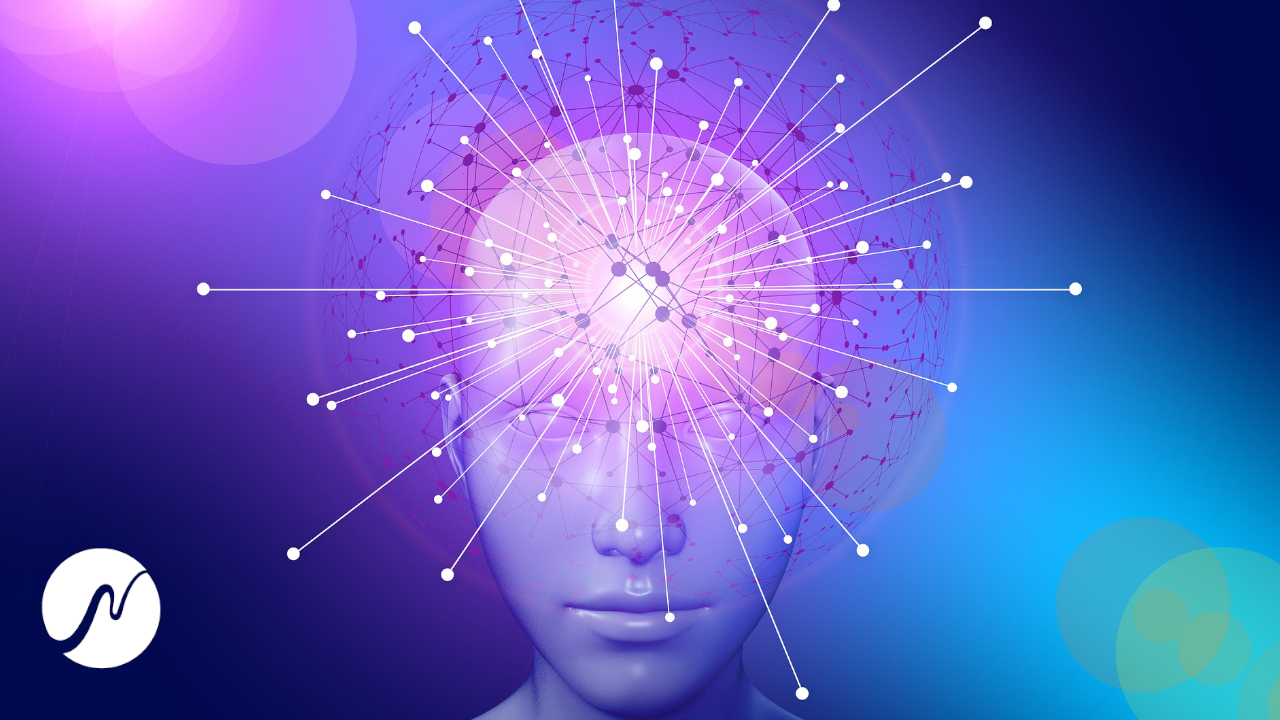 Grow New Brain Cells - Rebuild Your Brain - Powerful B - neowake Store