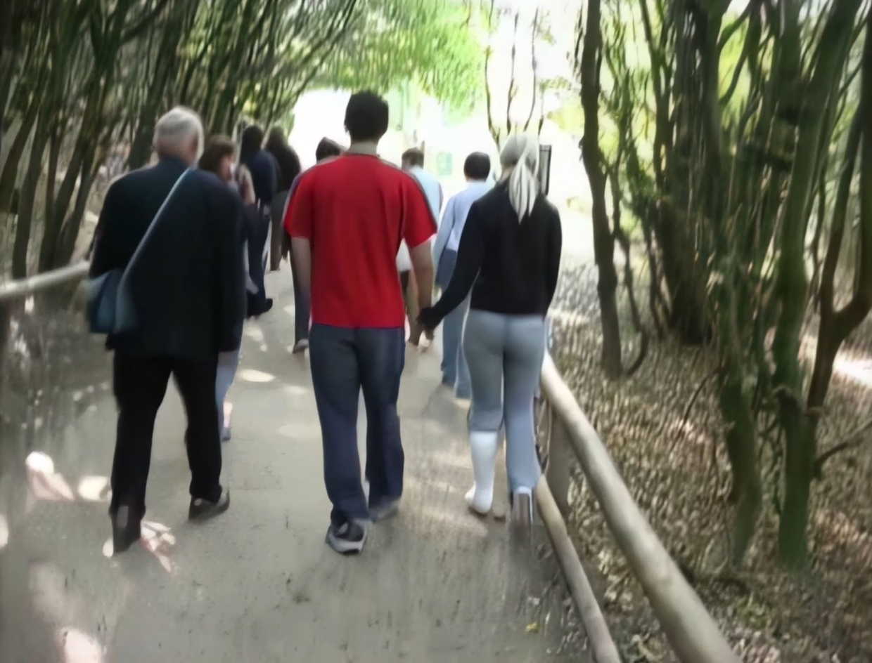 Products - GipsAlpin by SwissCaster