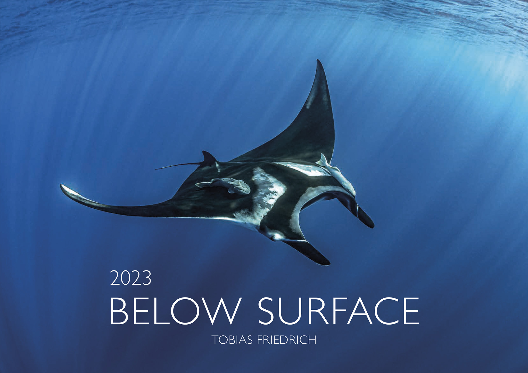 BELOW SURFACE - Underwater Photography by TOBIAS FRIEDRICH