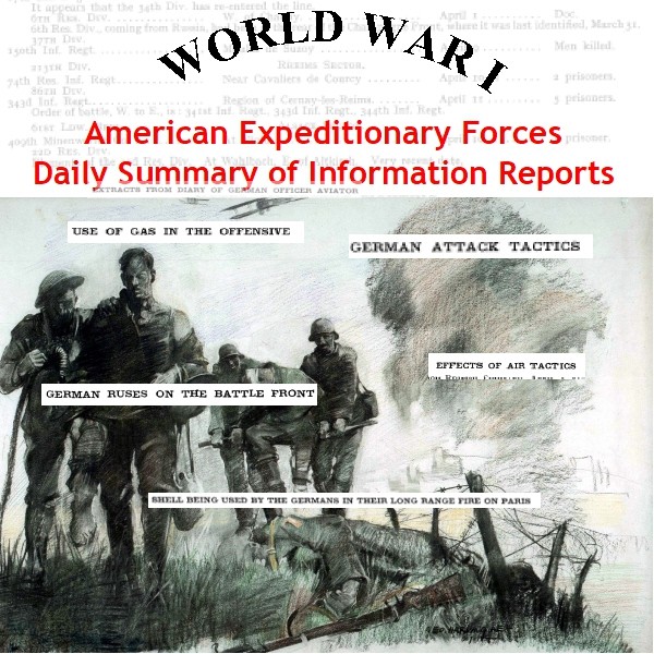 World War I: American Expeditionary Forces Daily Summa ...