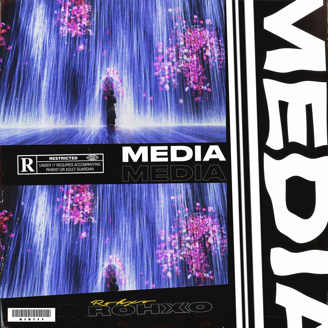 RohXO - Media Loop Kit - RohXO Store