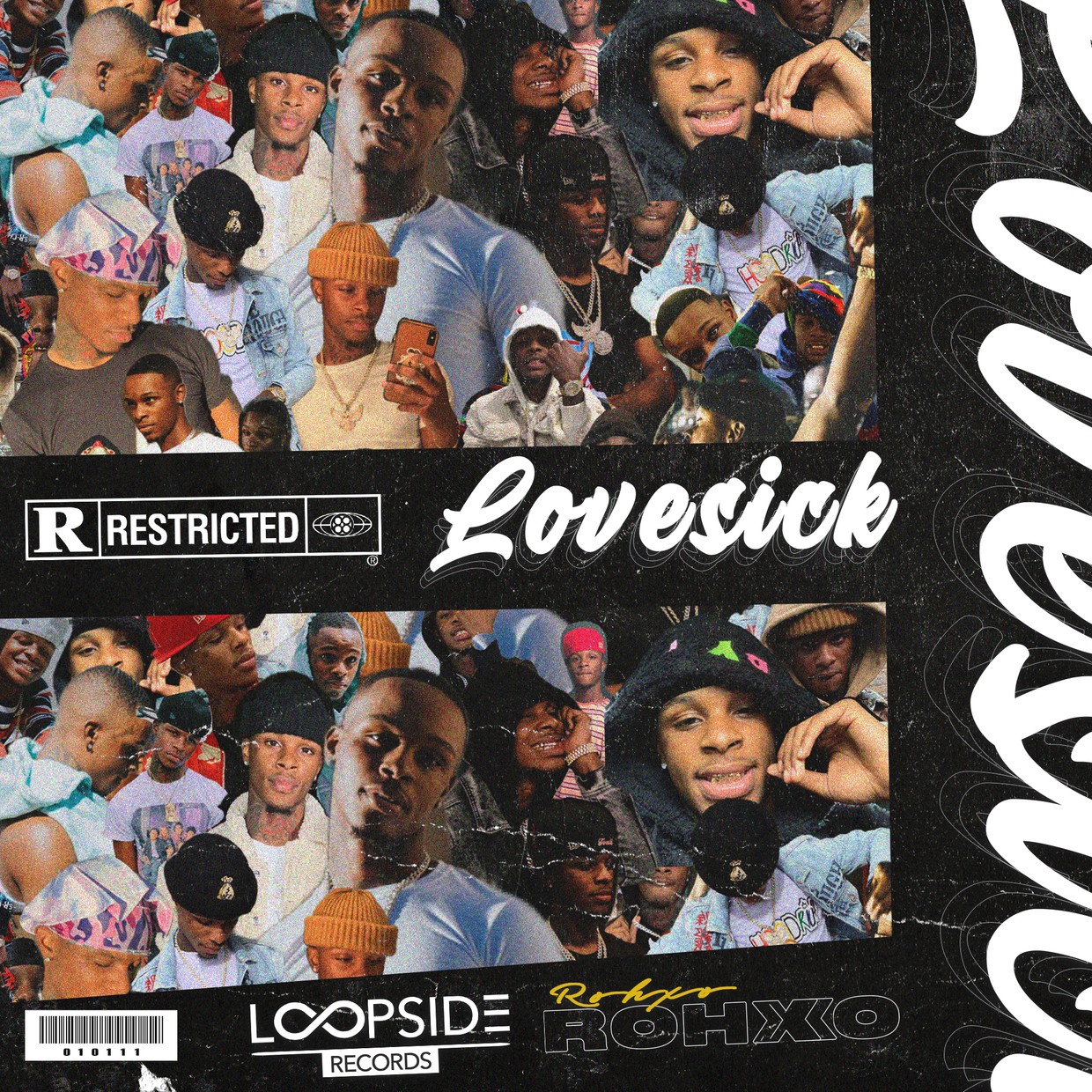 RohXO - Media Loop Kit - RohXO Store