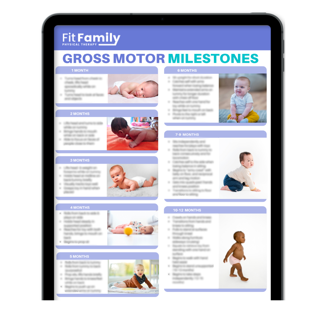 Best Baby Equipment (with links): A Pediatric PT Guide - Fit Family ...