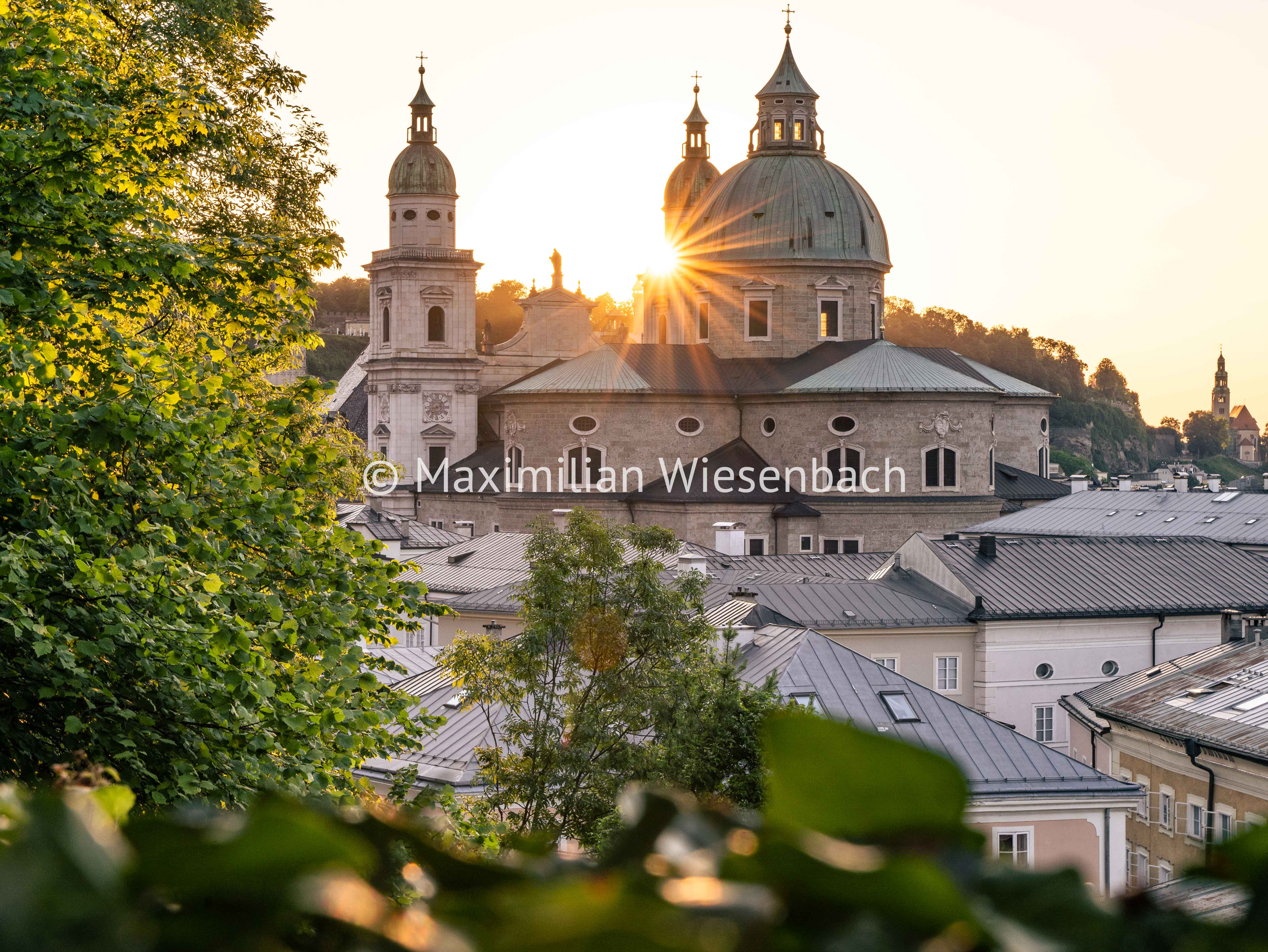 Stockfotos - Maximilian Wiesenbach