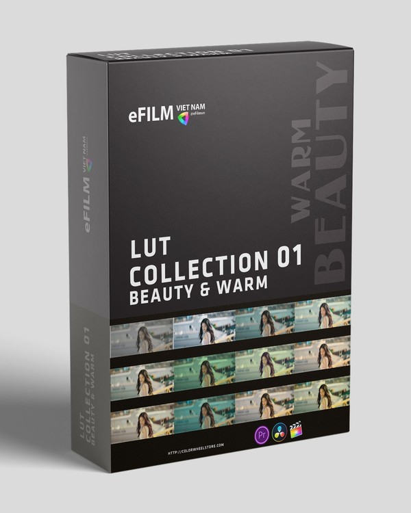 Lut Cinematic Pack vol 2 - ColorWheel Store