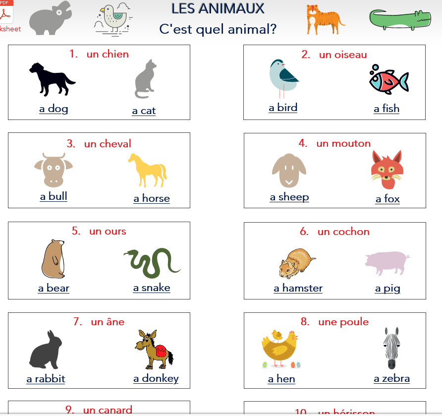 Les Animaux - Euroclub Schools