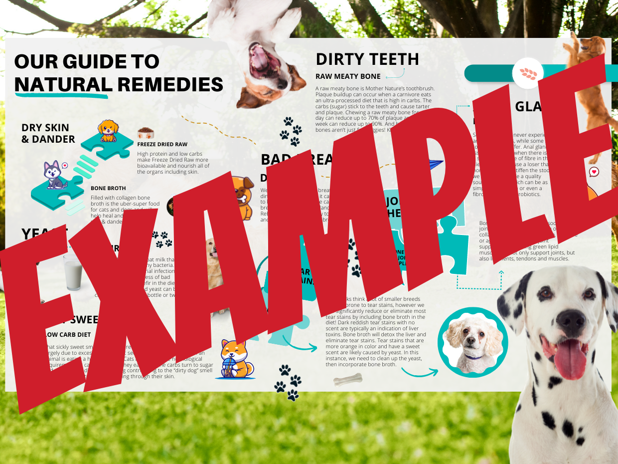 Pet Nutrition - House of Paws Pet Pro