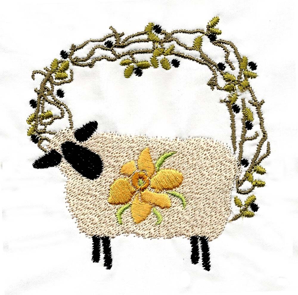 Single Welsh Sheep - The MadWoman of Locke Street